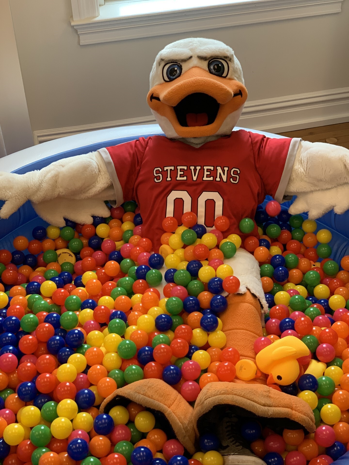 Duck Days is next week! - The Stute